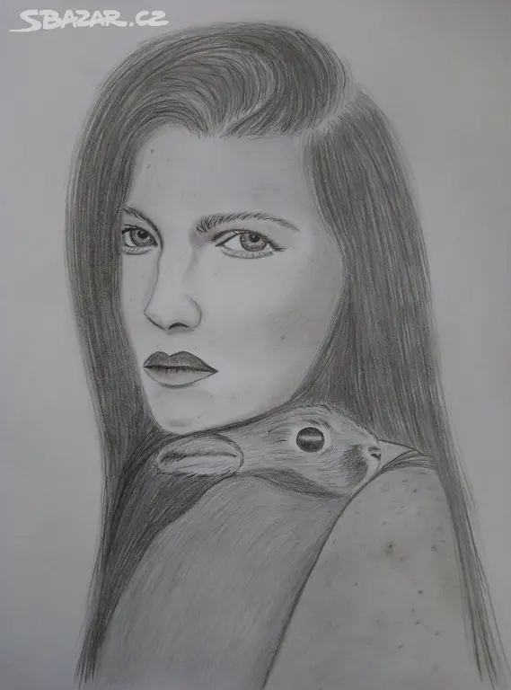 Obrazy kreslené tužkou - Jemnice - Bazar - Sbazar.cz