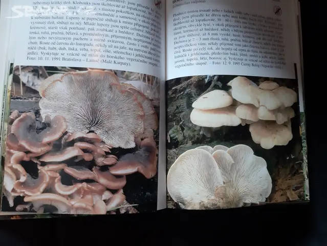 ATLAS HUB SLEVA NA 110 KČ - Most - Bazar - Sbazar.cz