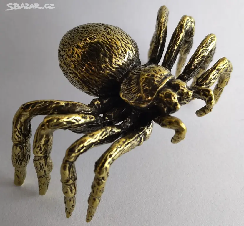 Luxusní pavouk, sklípkan, tarantule pro štěstí - Litvínov - Bazar ...