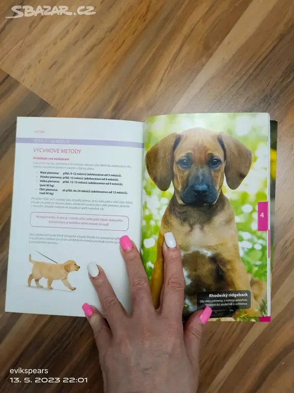 Kniha štěně nová - Karlovy Vary - Bazar - Sbazar.cz