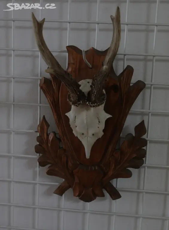 dřevěný podstavec pod parohy s parohy - Týniště nad Orlicí - Bazar ...