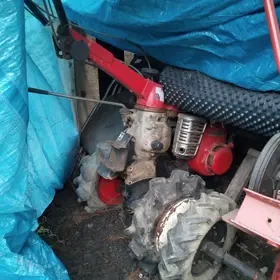 Nejlepší a Nejdražší tera-vari Bazar a inzerce - Sbazar.cz