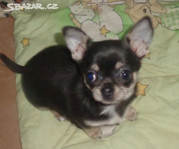 civava spp - Jablonec nad Nisou - Bazar - Sbazar.cz