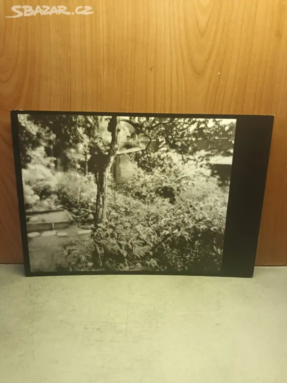 Josef Sudek - Zahrádka - 30 x 21 cm - fotografie - Praha - Bazar - Sbazar.cz