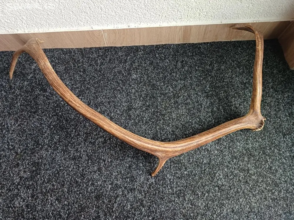 Paroh sob - Karlovy Vary - Bazar - Sbazar.cz