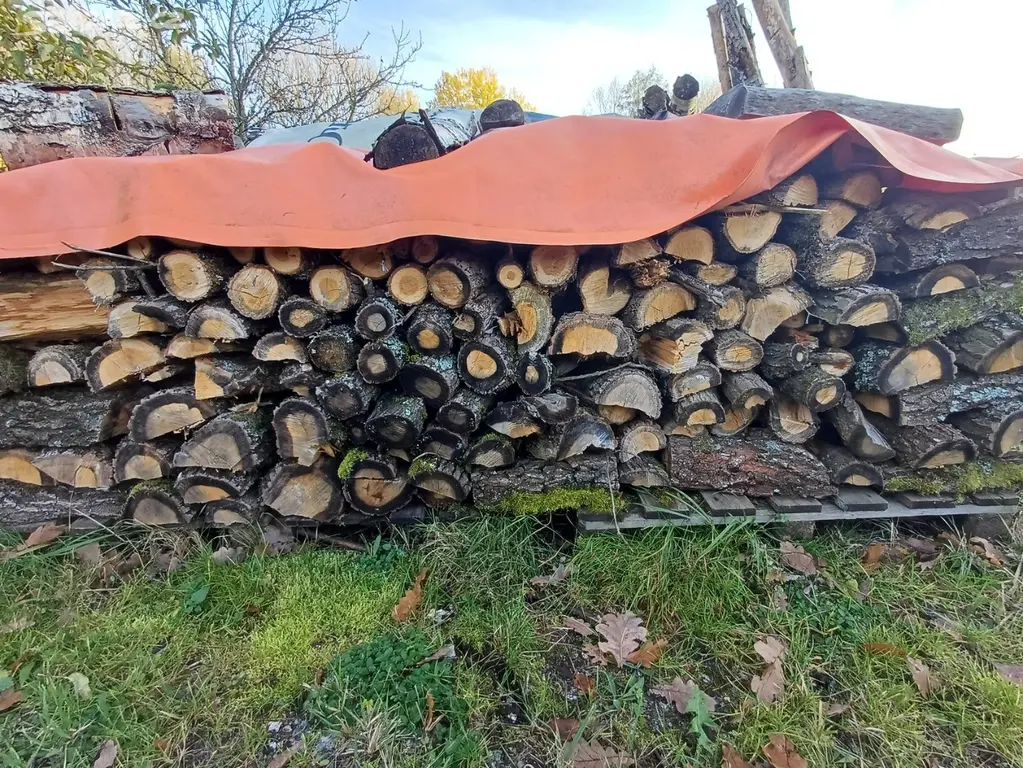 Dub štípaný polena - Sepekov - Bazar - Sbazar.cz