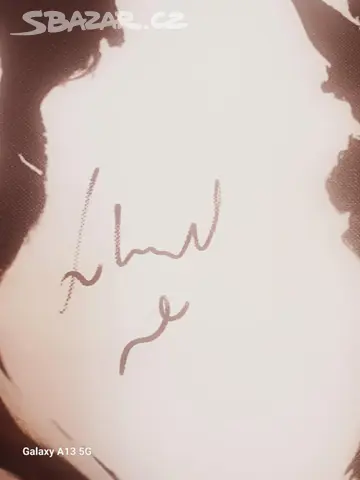 Obraz Rataj - Plzeň-město - Bazar - Sbazar.cz