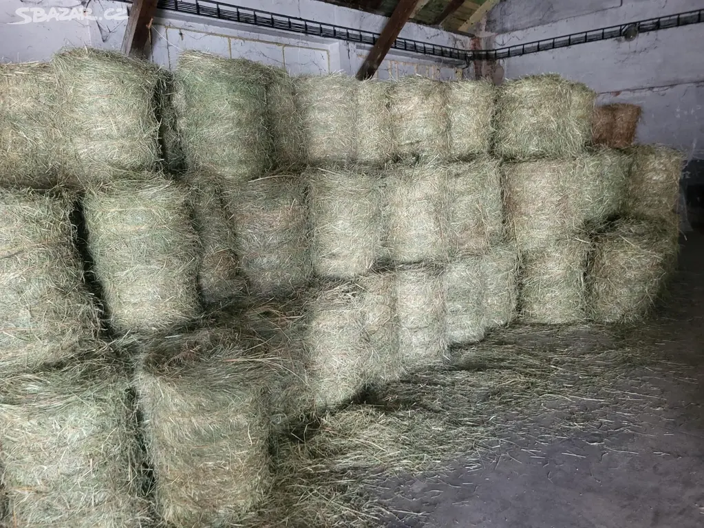 Seno malé kulaté balíky - Bzenec - Bazar - Sbazar.cz