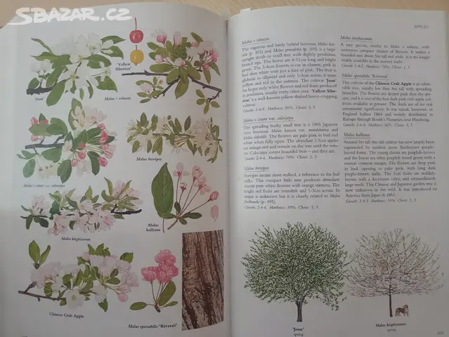 kniha The Illustrated Encyclopedia of Trees - Praha - Bazar - Sbazar.cz