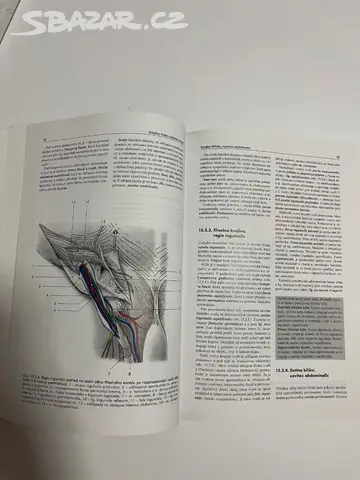 Základy anatomie 5 - Grim, Druga - Praha - Bazar - Sbazar.cz