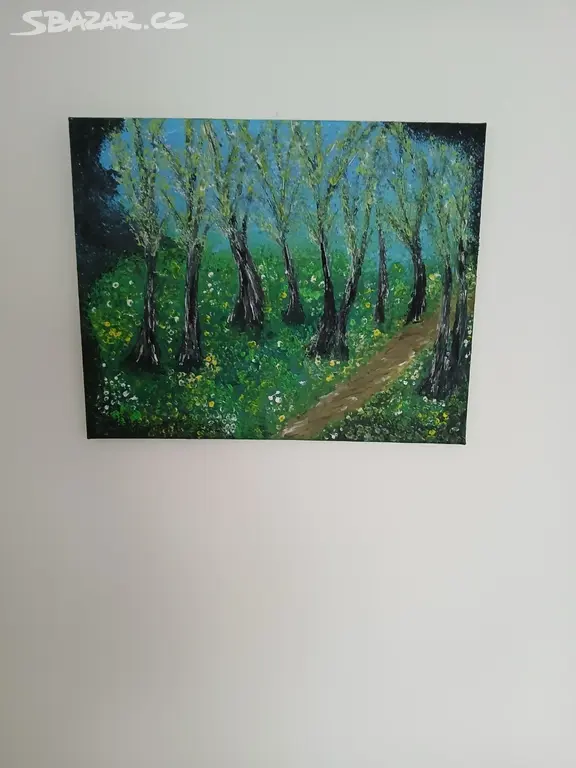 Obraz plátno, akryl - Brno - Bazar - Sbazar.cz