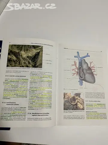 Základy anatomie 2 - Grim, Druga - Praha - Bazar - Sbazar.cz