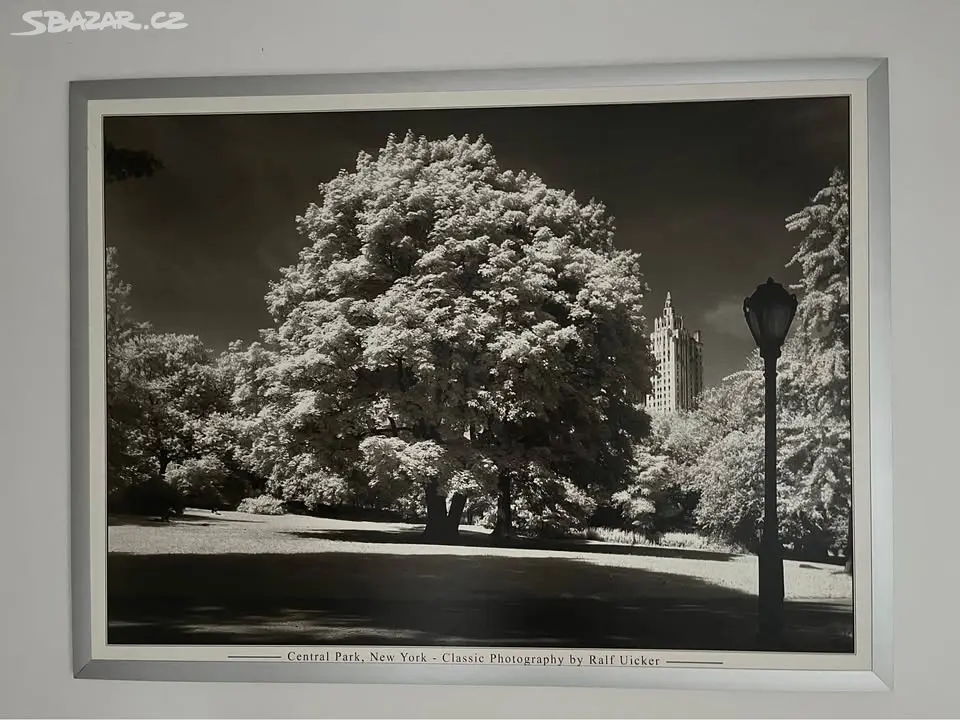 Obraz IKEA Central park (120x90cm) jako nový - Klimkovice - Bazar ...