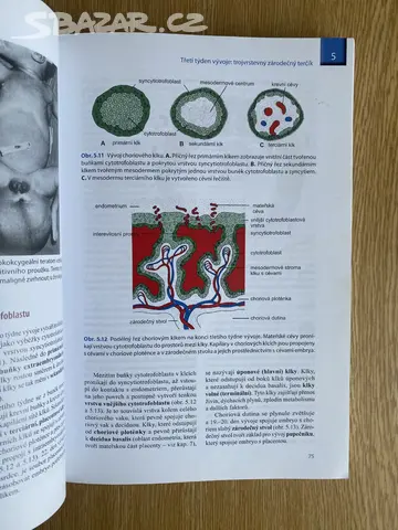 Langmanova lékařská embryologie - Plzeň - Bazar - Sbazar.cz